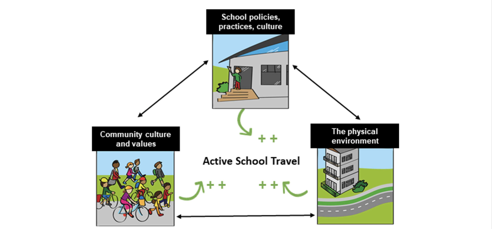 Riding and walking to school: it’s complicated | Bicycle Network