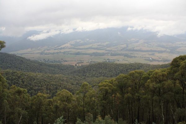 The climb: Mount Beauty to Tawonga Gap | Bicycle Network