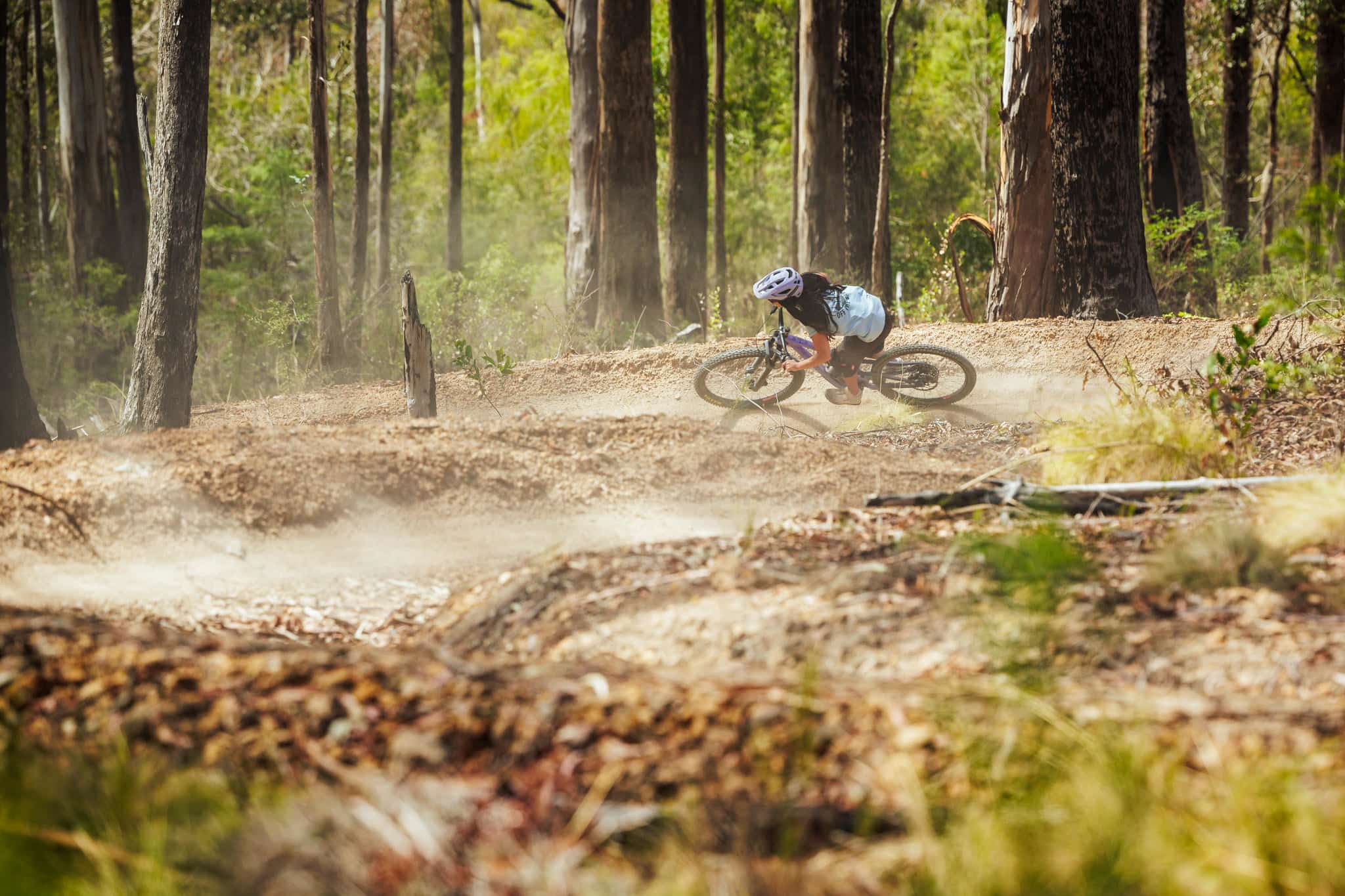 Gravity MTB park plunges riders into the garden of Eden | Bicycle Network