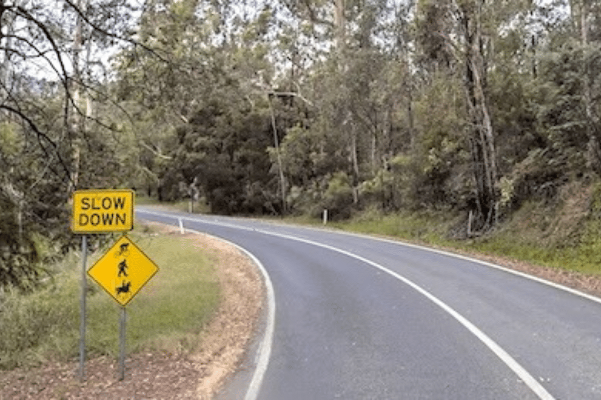 Reefton Spur reopens | Bicycle Network