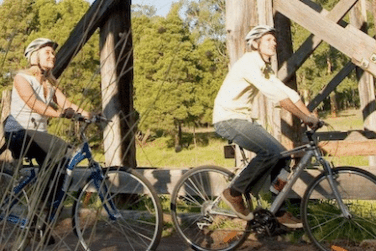 New trails vision for Great Ocean Road region | Bicycle Network