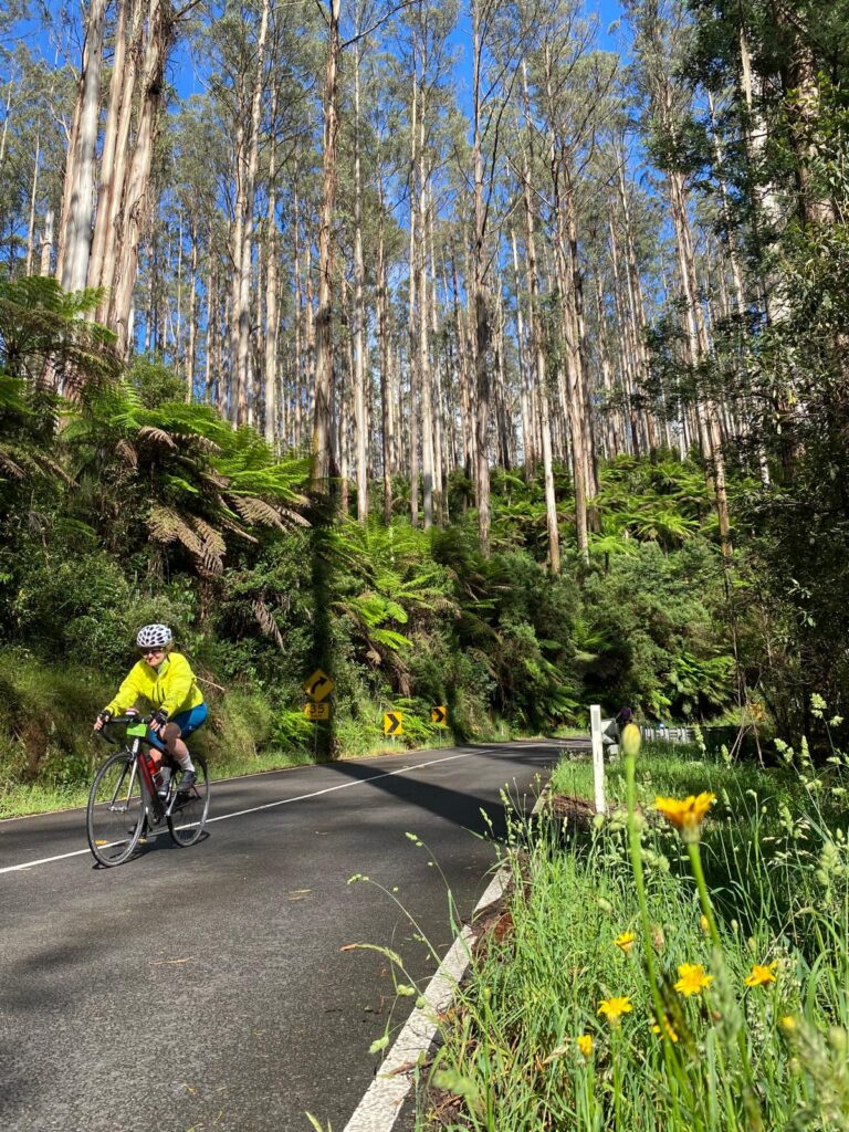 Overview | Great Victorian Bike Ride | Bicycle Network
