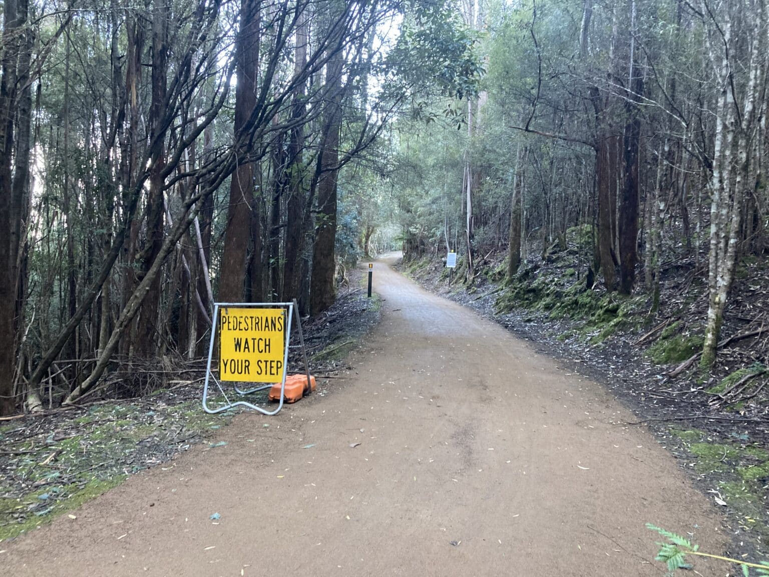 Surface topped up on key Hobart trails | Bicycle Network