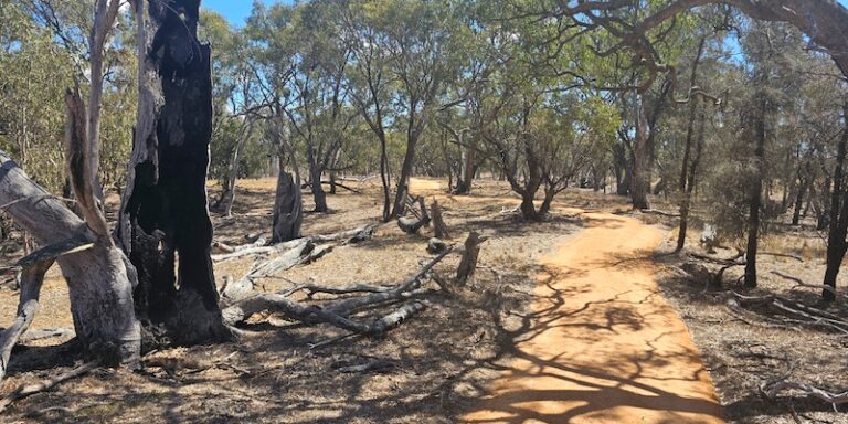 Wimmera River Discovery Trail open | Bicycle Network