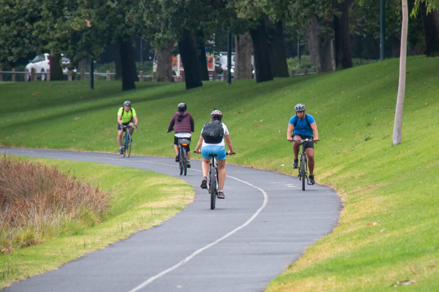Count bikes this Super Tuesday 2026 | Bicycle Network